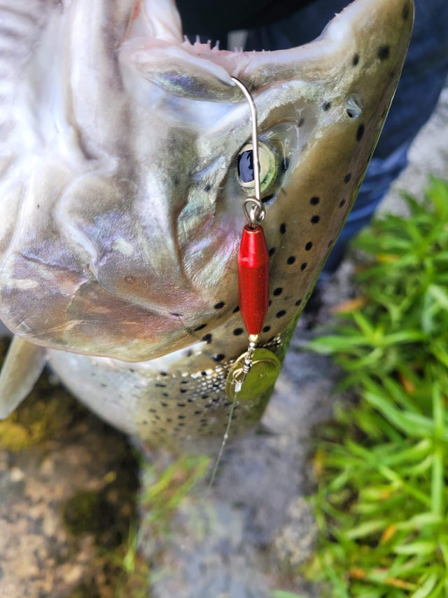 SALMON/STEELHEAD SPINNERS | North Fork Lures