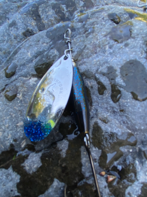 Predator~#4 Painted blade Spinners | North Fork Lures